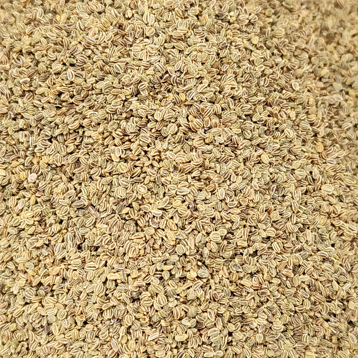 Celery Seed – JB's Gourmet Spice Blends